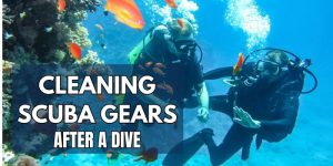 How to Clean Scuba Gears Using Ultrasonic Cleaner?